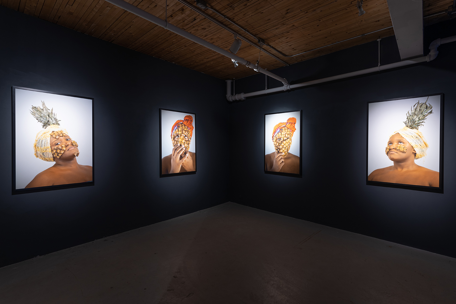 Peau Nature Morte – Cécilia Bracmort – artiste & commissaire d'expositions